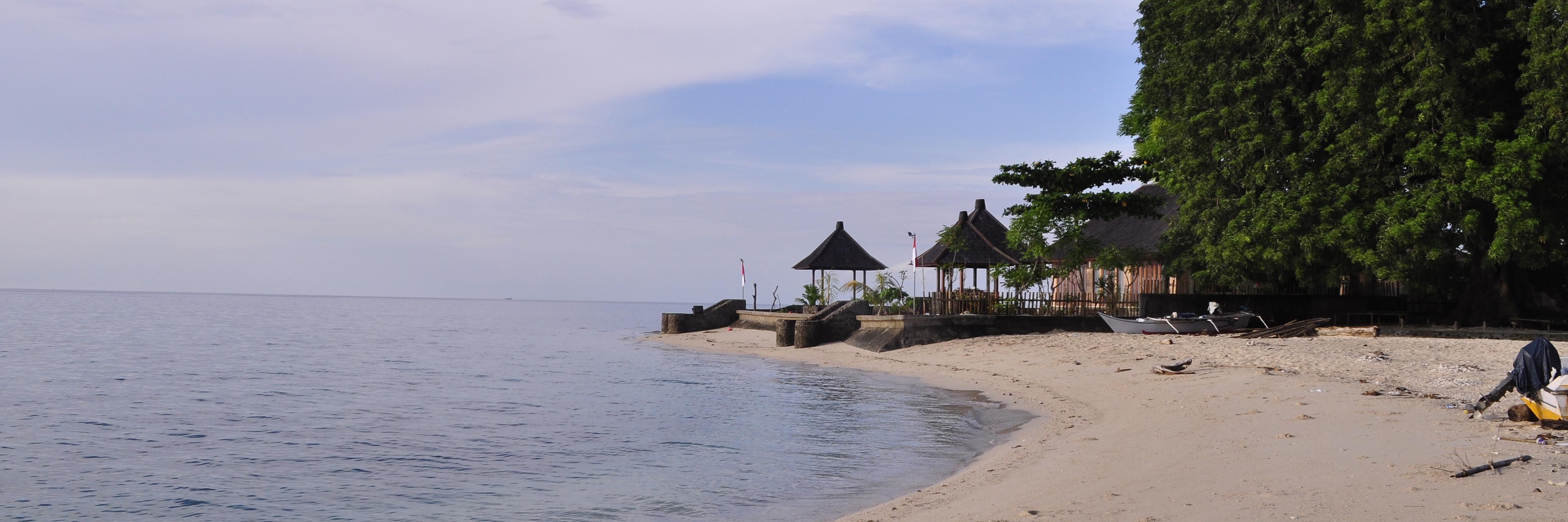 เที่ยวบินจาก นิวแมน ไป กาลีมันตัน | Garuda Indonesia