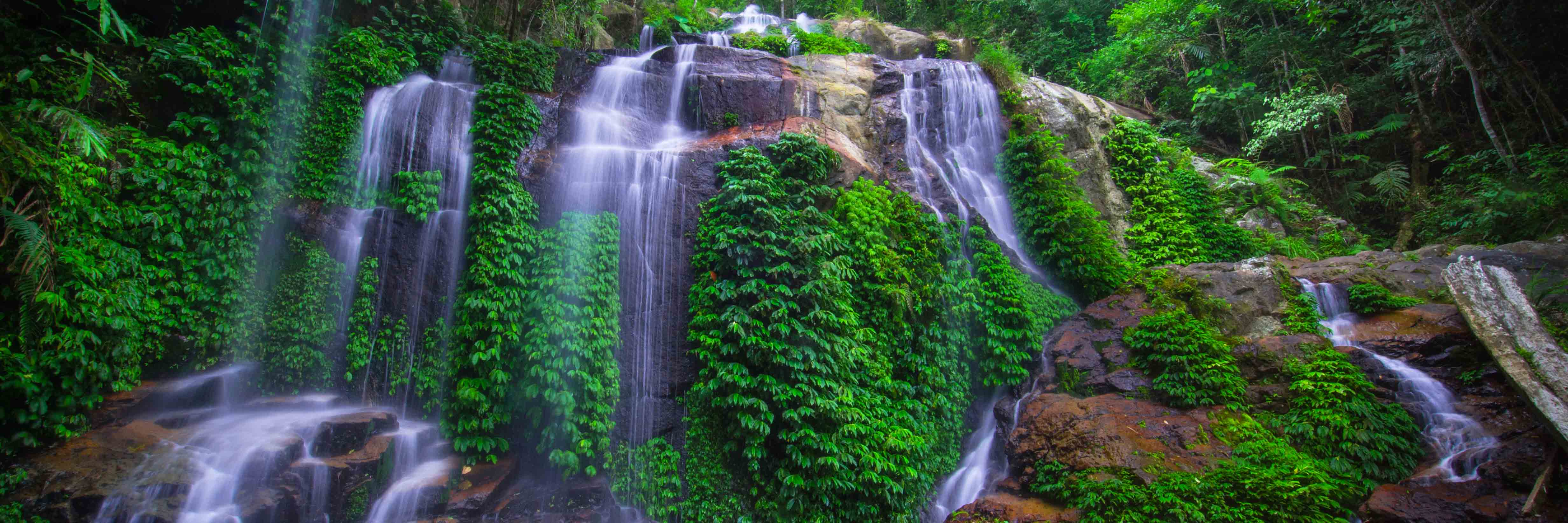 Penerbangan dari Kota Bandung ke Jambi | Garuda Indonesia