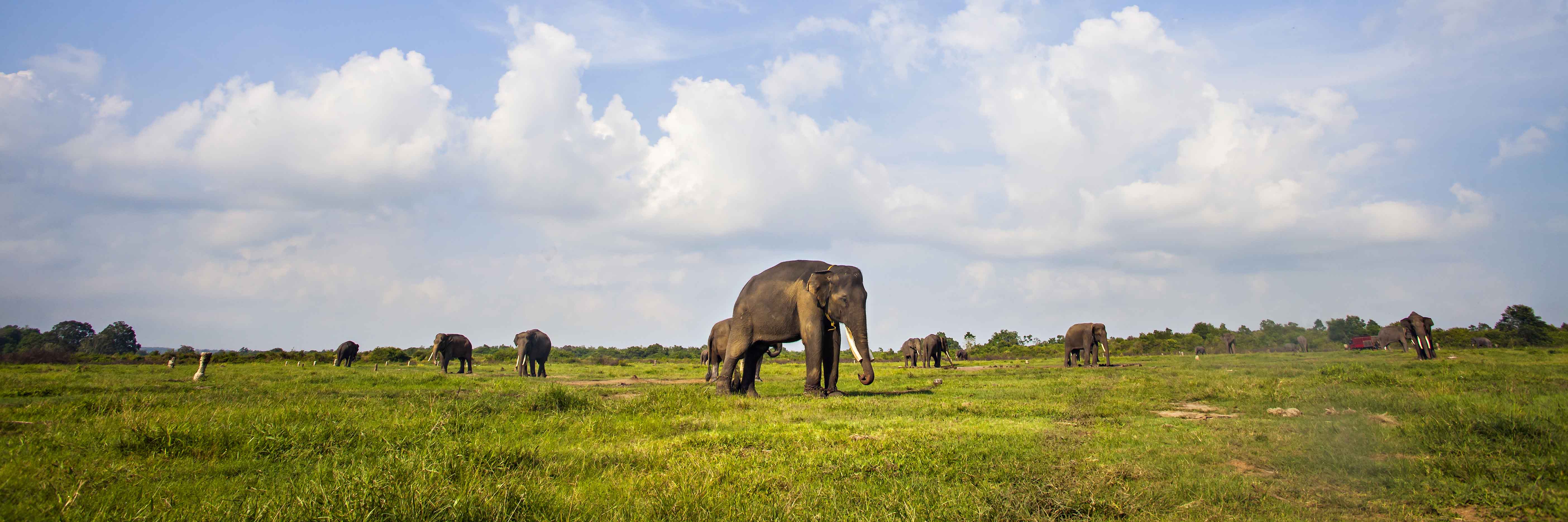 เที่ยวบินจาก พลิมัท ไป แบนดาร์ลัมพุง | Garuda Indonesia